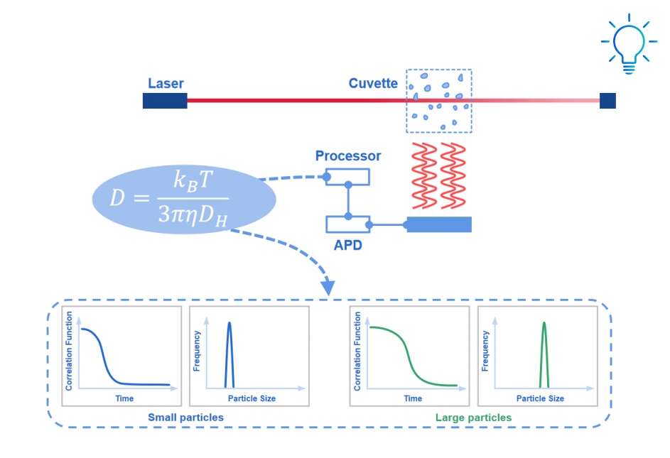 How Does Dynamic Light Scattering Work At Ryan Henderson Blog How Does Dynamic Light Scattering Work At Ryan Henderson Blog