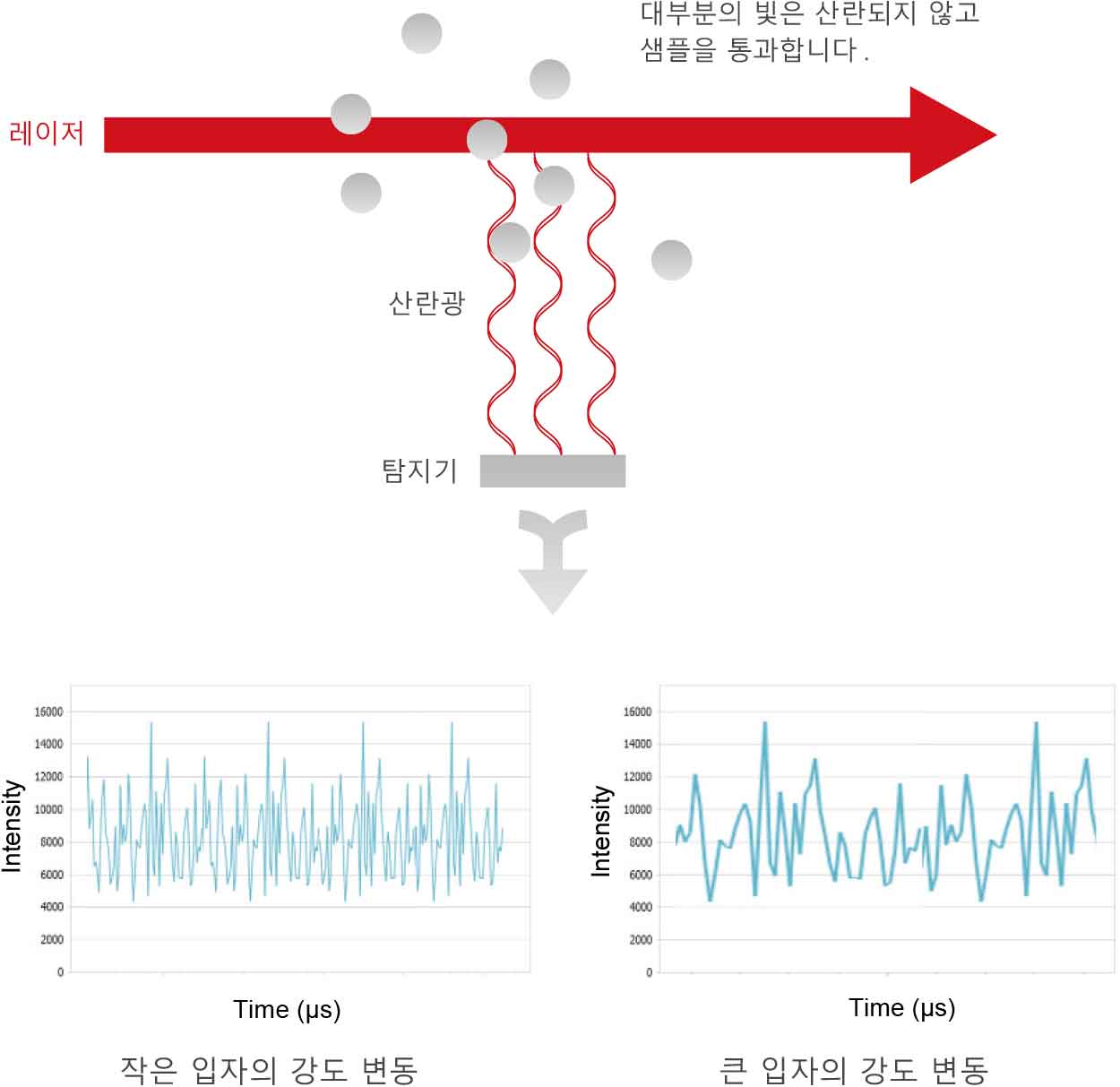 BeNano 180 Zeta Pro - 나노 입자 크기 및 제타 전위 분석기