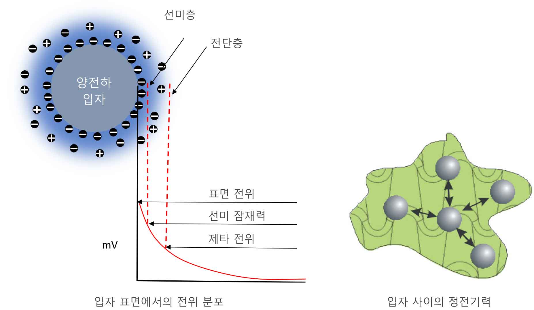 BeNano 180 Zeta Pro - 나노 입자 크기 및 제타 전위 분석기